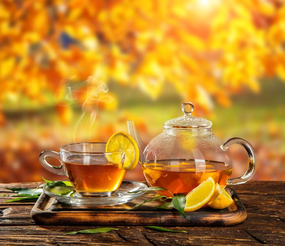 Are you ready for Autumn? – In Nature Teas