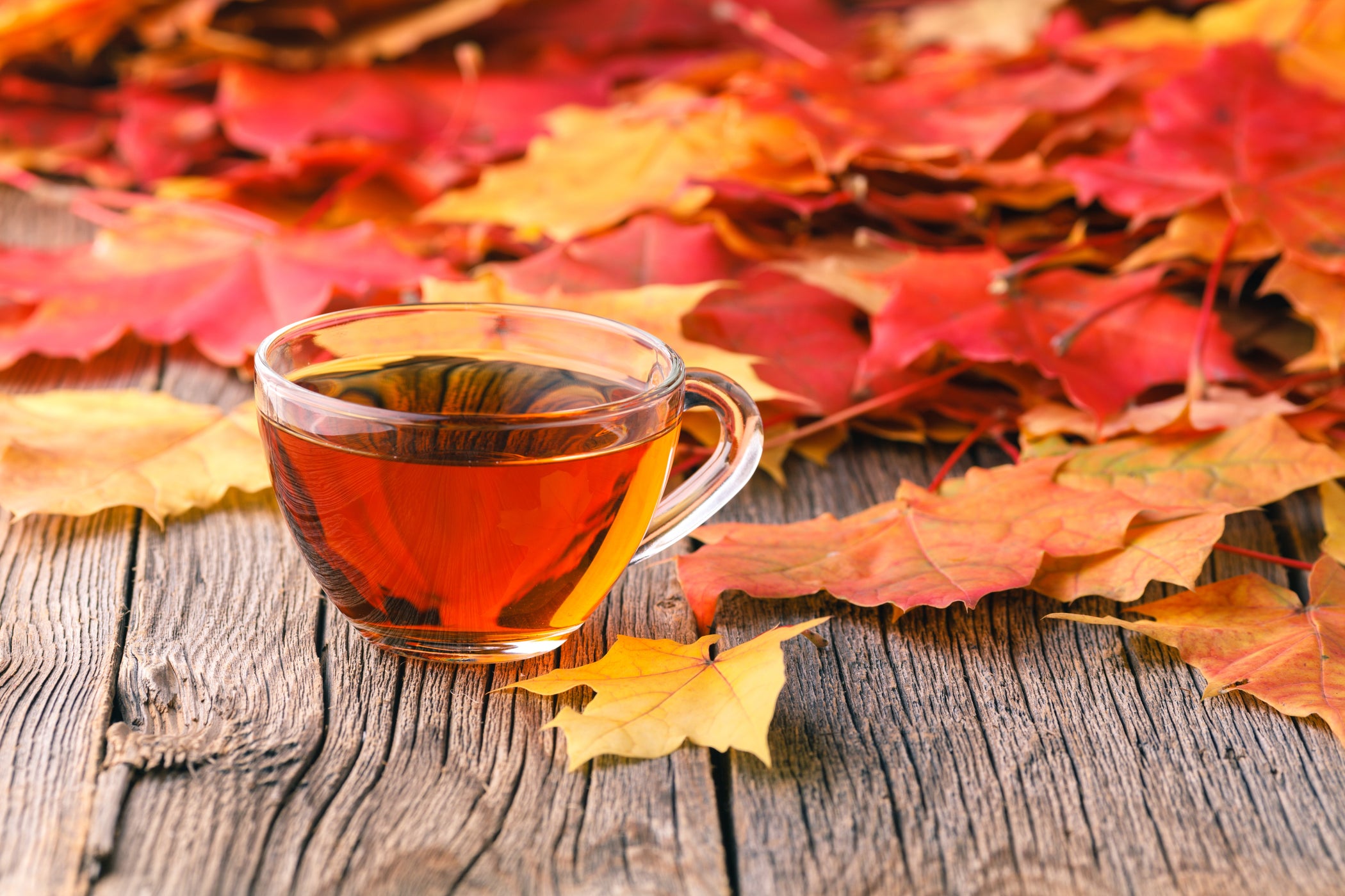 In Nature Teas | The Finest Organic Loose Leaf Pure Teas