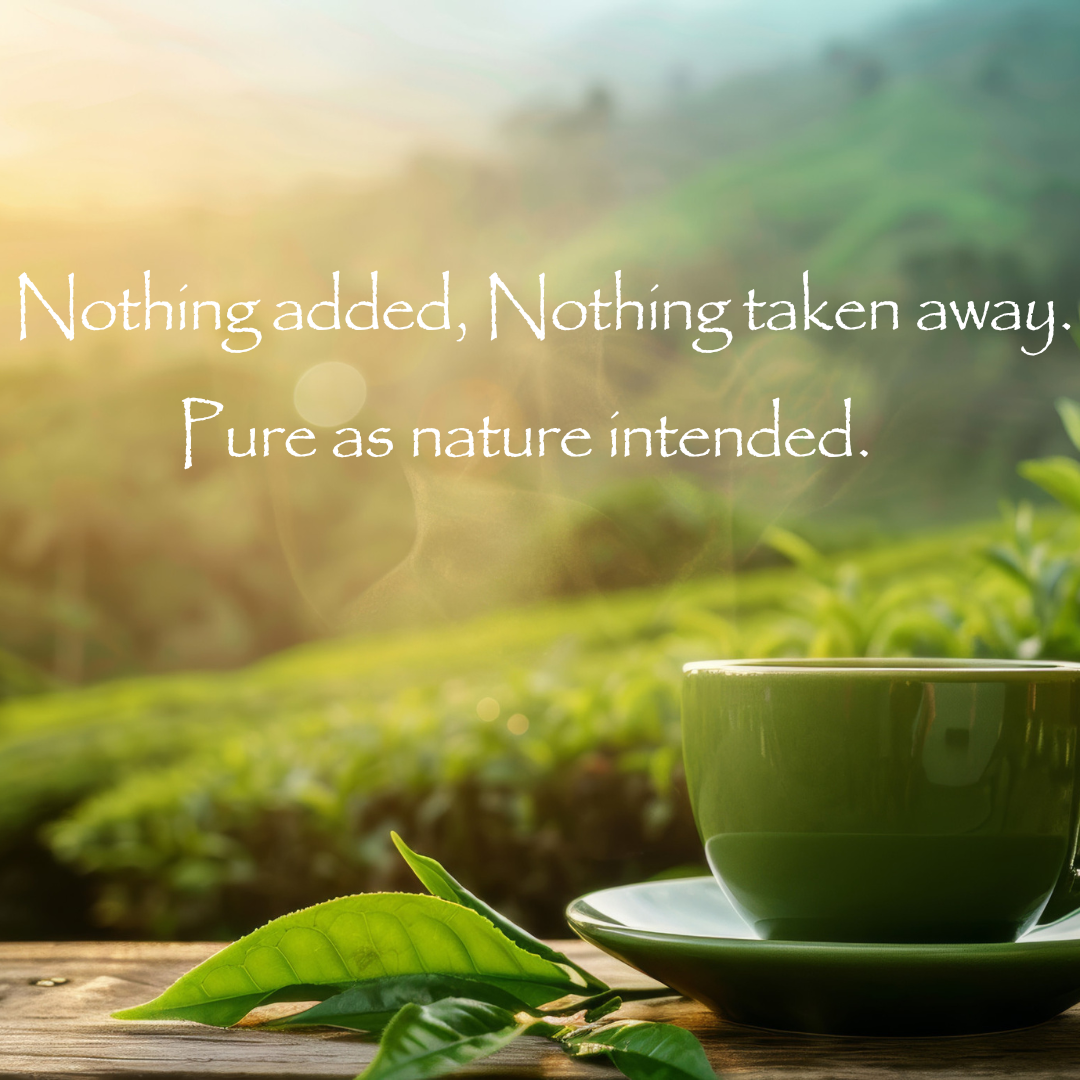In Nature Teas | The Finest Organic Loose Leaf Pure Teas