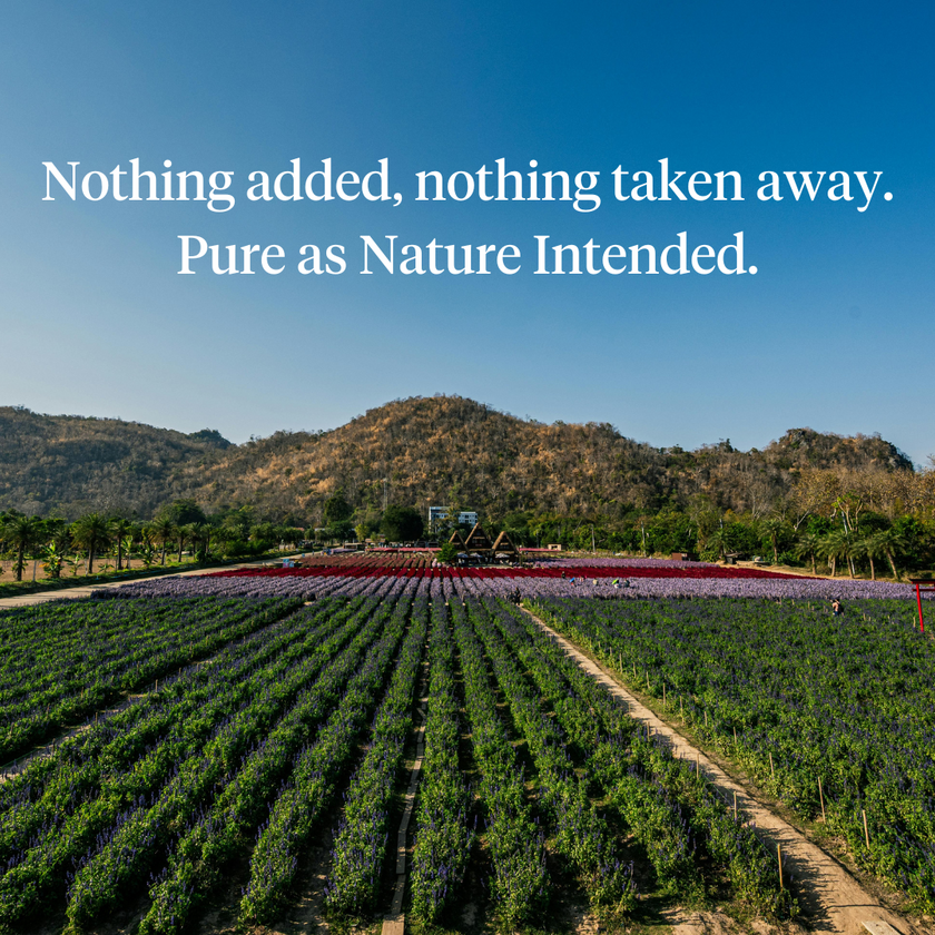In Nature Teas | The Finest Organic Loose Leaf Pure Teas