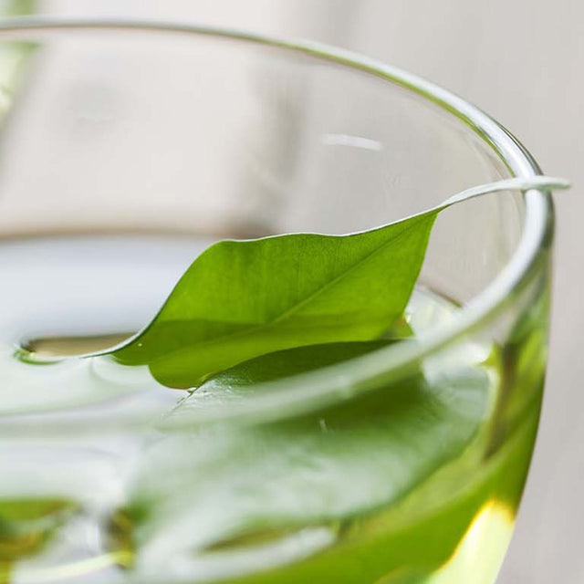 In Nature Teas | The Finest Organic Loose Leaf Pure Teas