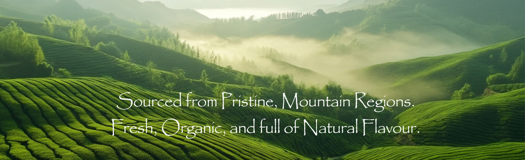 In Nature Teas | The Finest Organic Loose Leaf Pure Teas